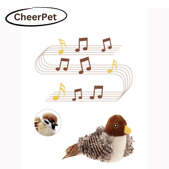 CheerPet™ Cat Bird Toy with Wings – VERRANOO